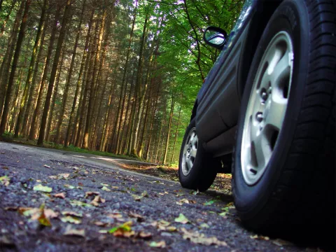 Tips for Spring Driving | Traffic School Online